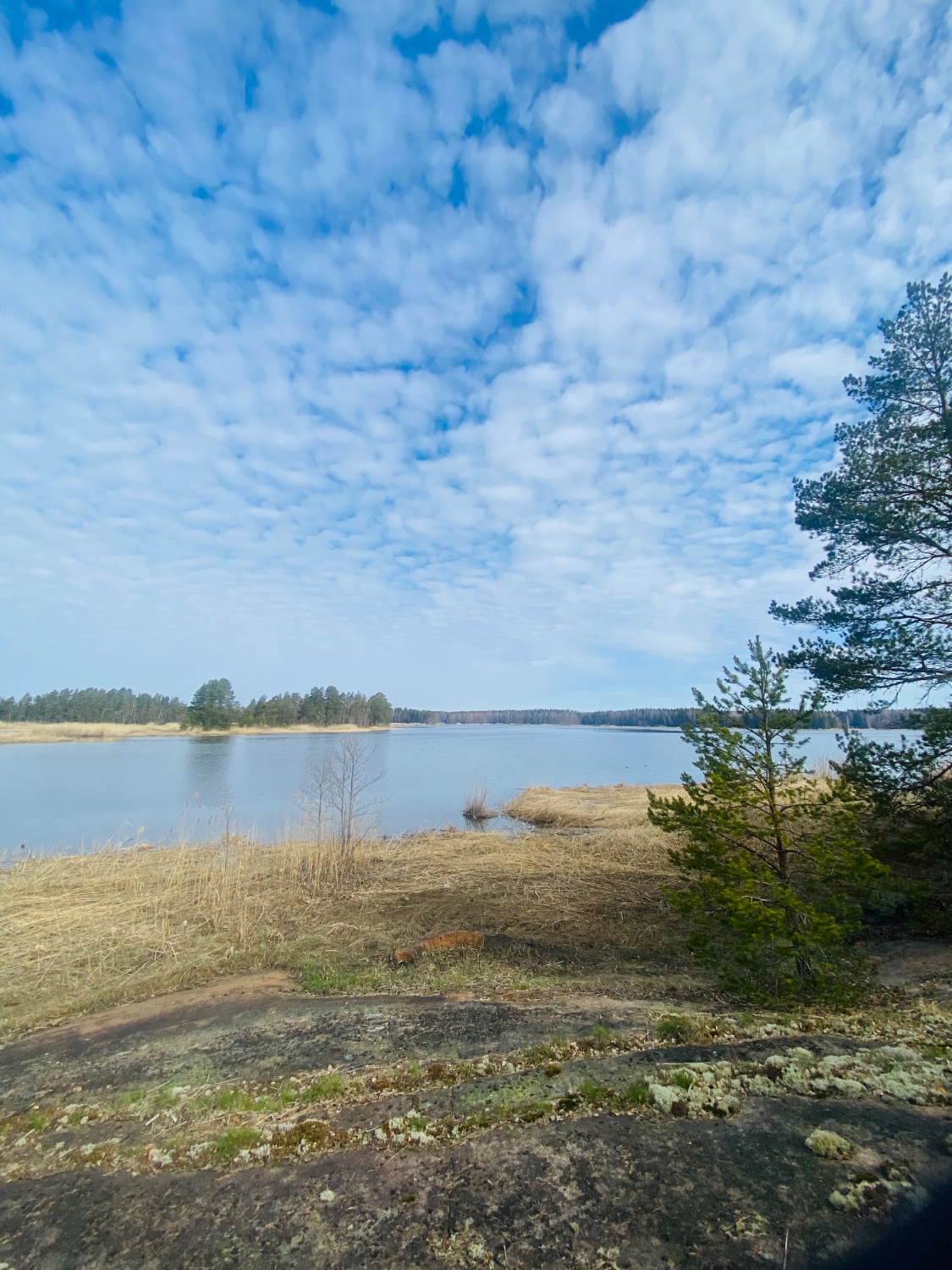 Solve Järvellä rannan ☀️ jigsaw puzzle online with 63 pieces