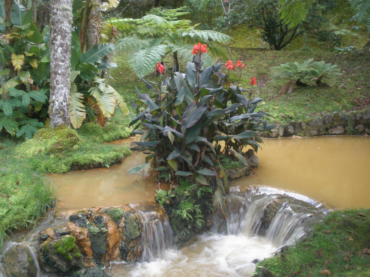 Solve Azores-St.Michael Isl.-Furnas;Terra Nostra Parque jigsaw puzzle ...