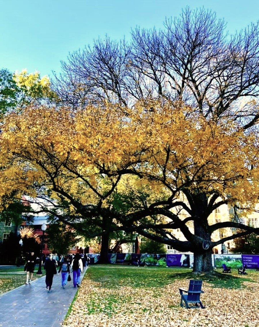 Solve Autumn Colors in Georgetown, Washington DC jigsaw puzzle online ...