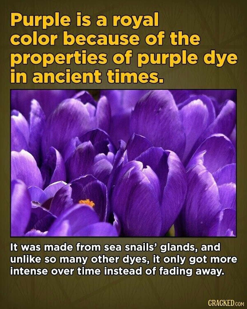 Solve Purple jigsaw puzzle online with 12 pieces