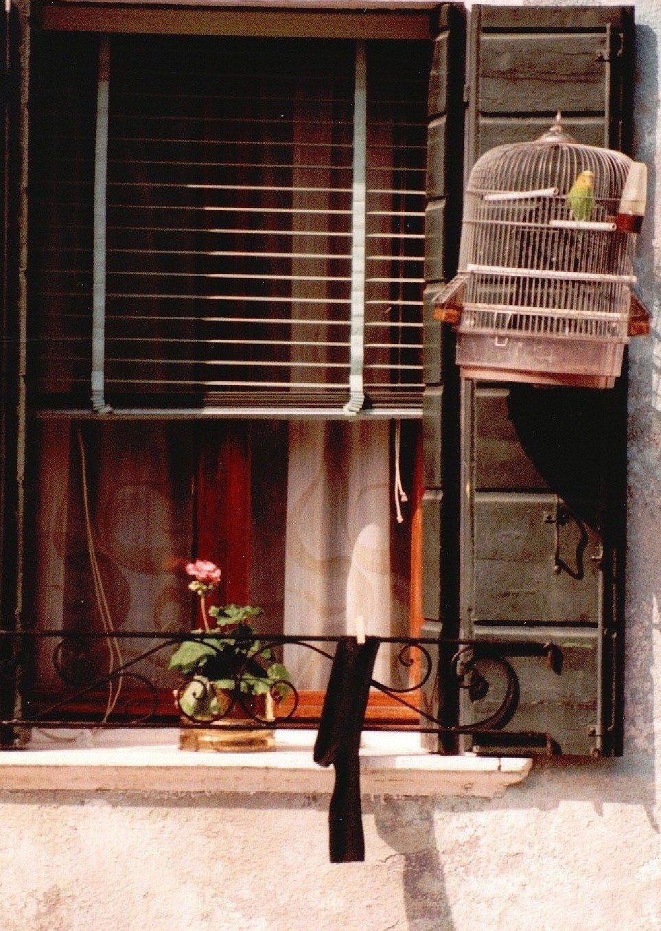 Solve lone sock!!!! jigsaw puzzle online with 48 pieces