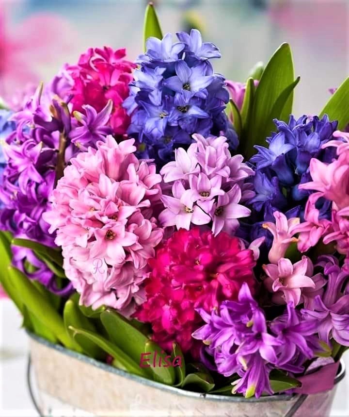 Solve The magic of seasons jigsaw puzzle online with 56 pieces