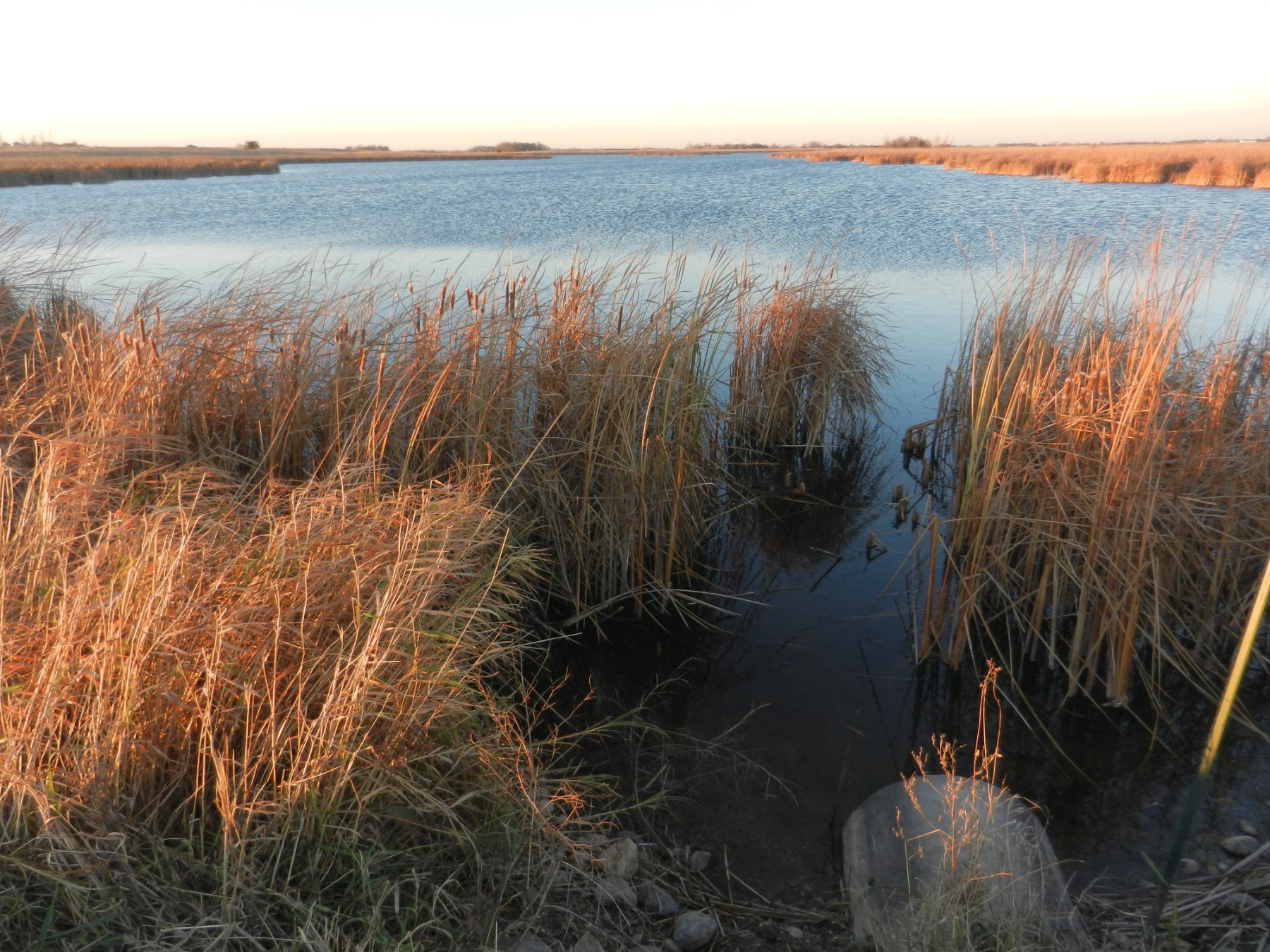 Solve Prairie Slough jigsaw puzzle online with 63 pieces