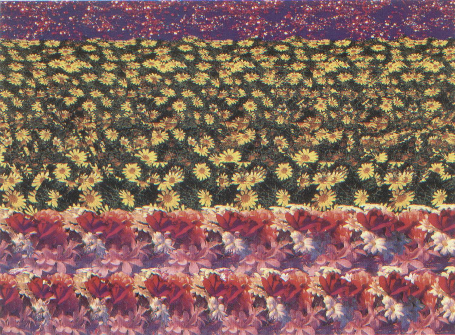 Jigsaw Puzzle | Magic Eye picture | 70 pieces | Jigidi