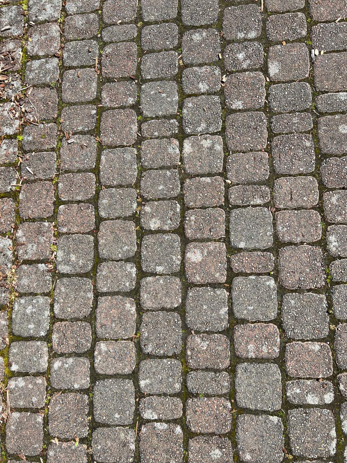 Solve garden path stones jigsaw puzzle online with 130 pieces