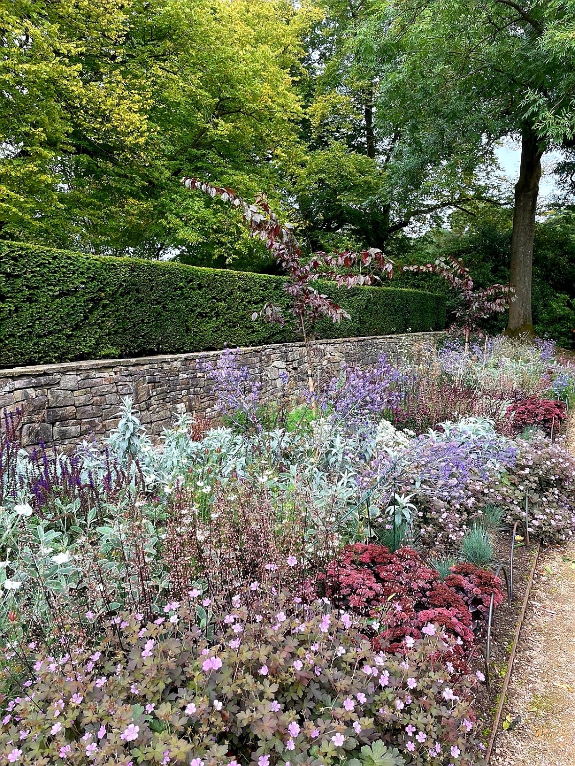 Solve Floral Border jigsaw puzzle online with 48 pieces