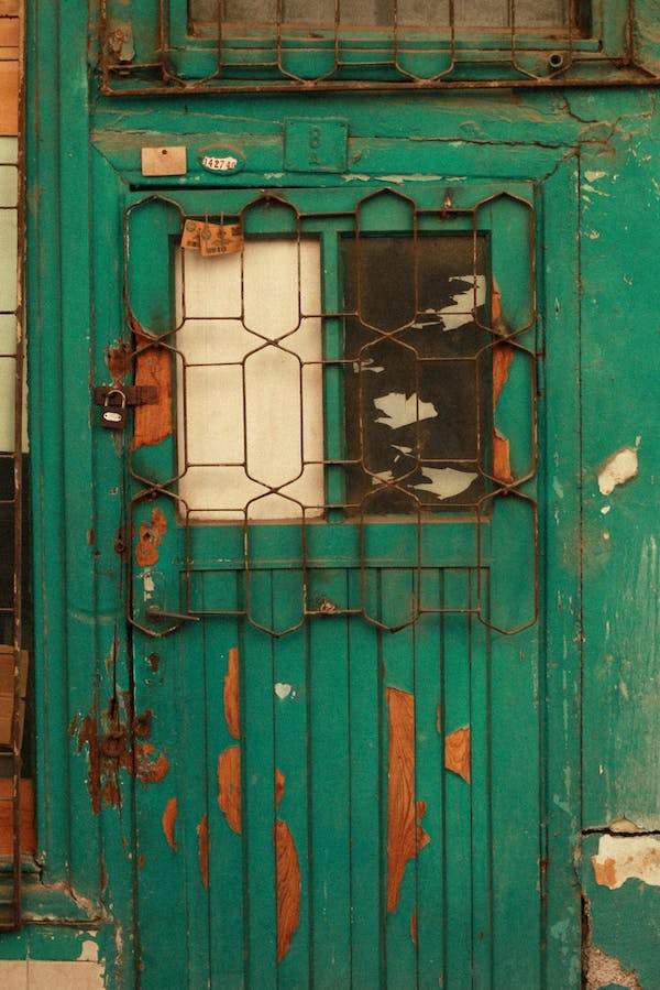 Solve door jigsaw puzzle online with 12 pieces