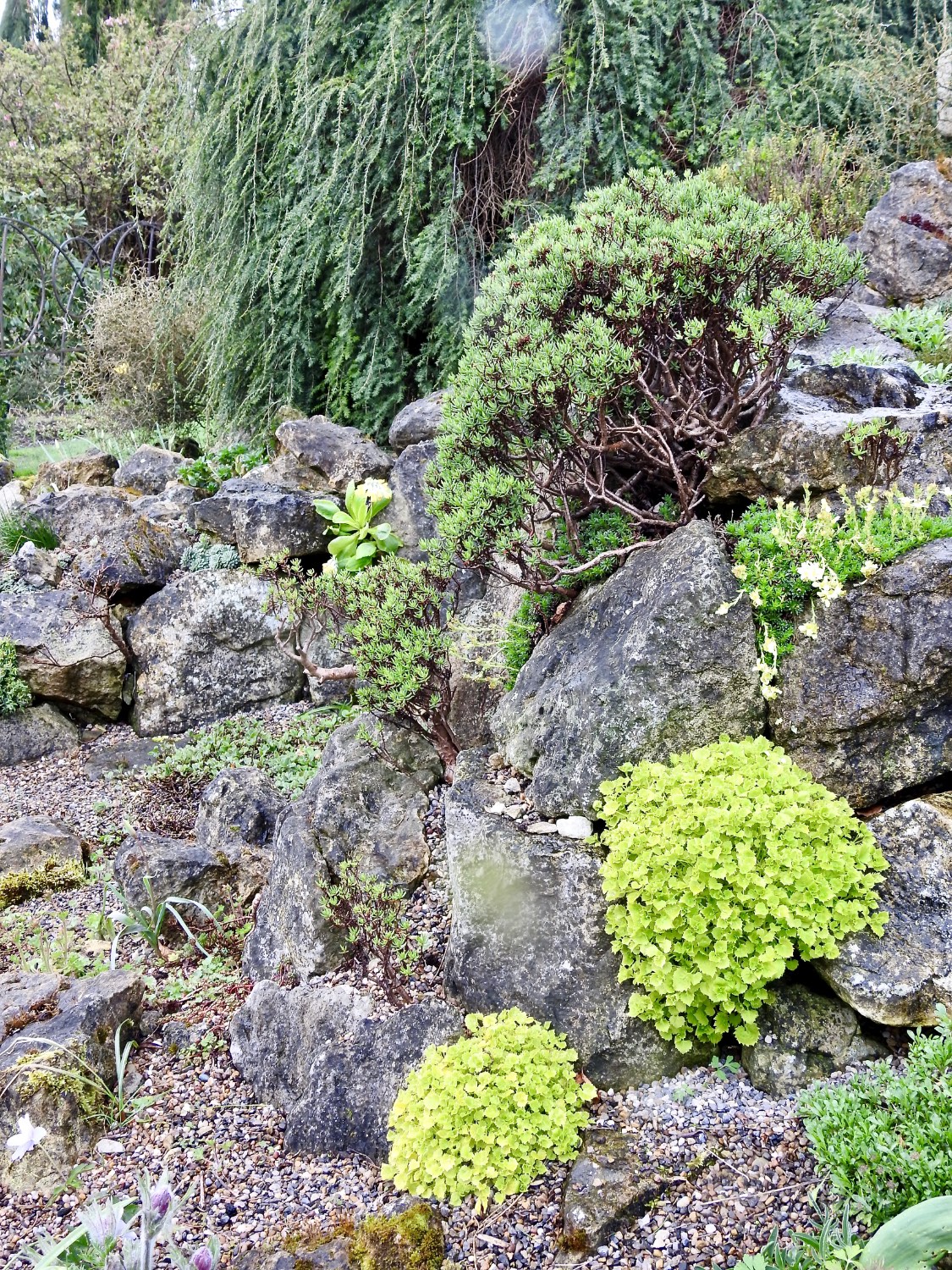 Solve York Gate Garden jigsaw puzzle online with 99 pieces