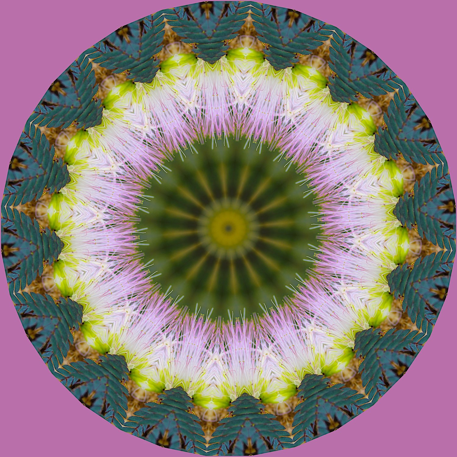 Solve #2 small jigsaw puzzle online with 64 pieces