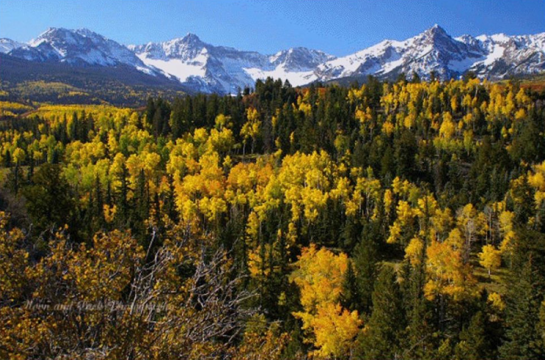 Solve Autumn Scenery jigsaw puzzle online with 54 pieces