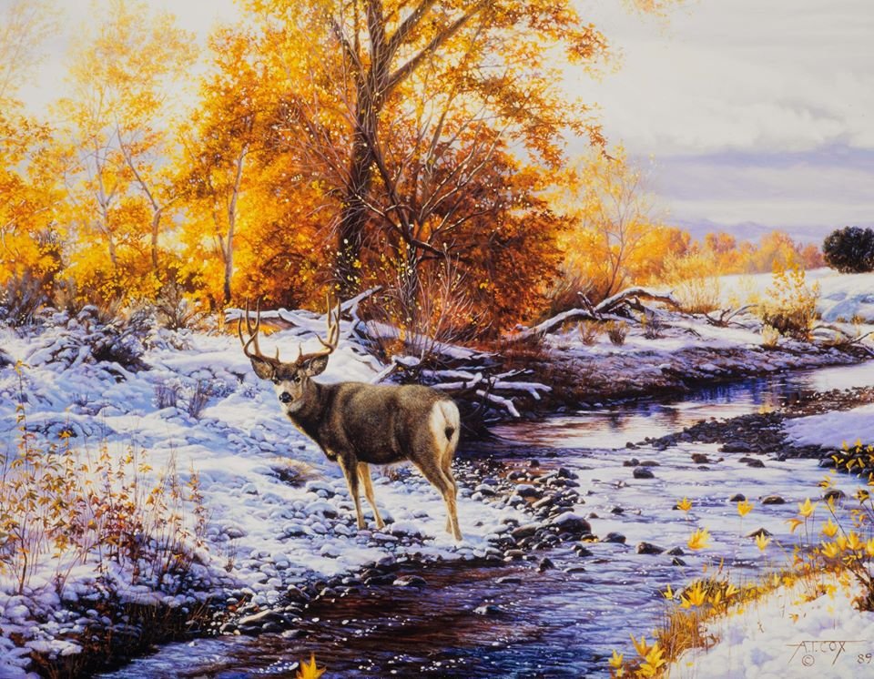 Solve "Deer In Stream" Tim Cox jigsaw puzzle online with 192 pieces