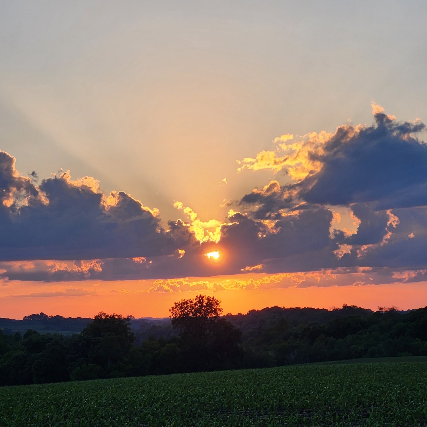 Solve Gift from God jigsaw puzzle online with 121 pieces