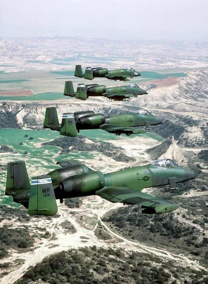 Solve A-10 "Warthogs" in the early "Euro-1" or "Lizard camouflage ...