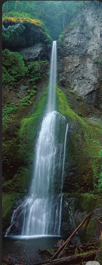 Solve Olympic National Forest, Washington state, USA jigsaw puzzle ...