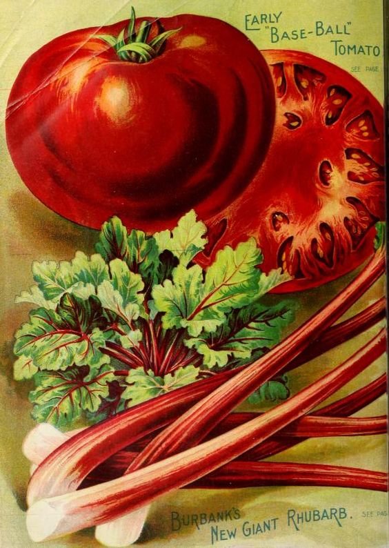 Solve Early Base-Ball Tomato jigsaw puzzle online with 108 pieces