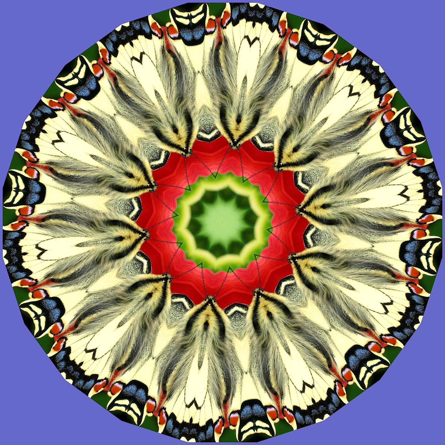 Solve #2 small jigsaw puzzle online with 64 pieces