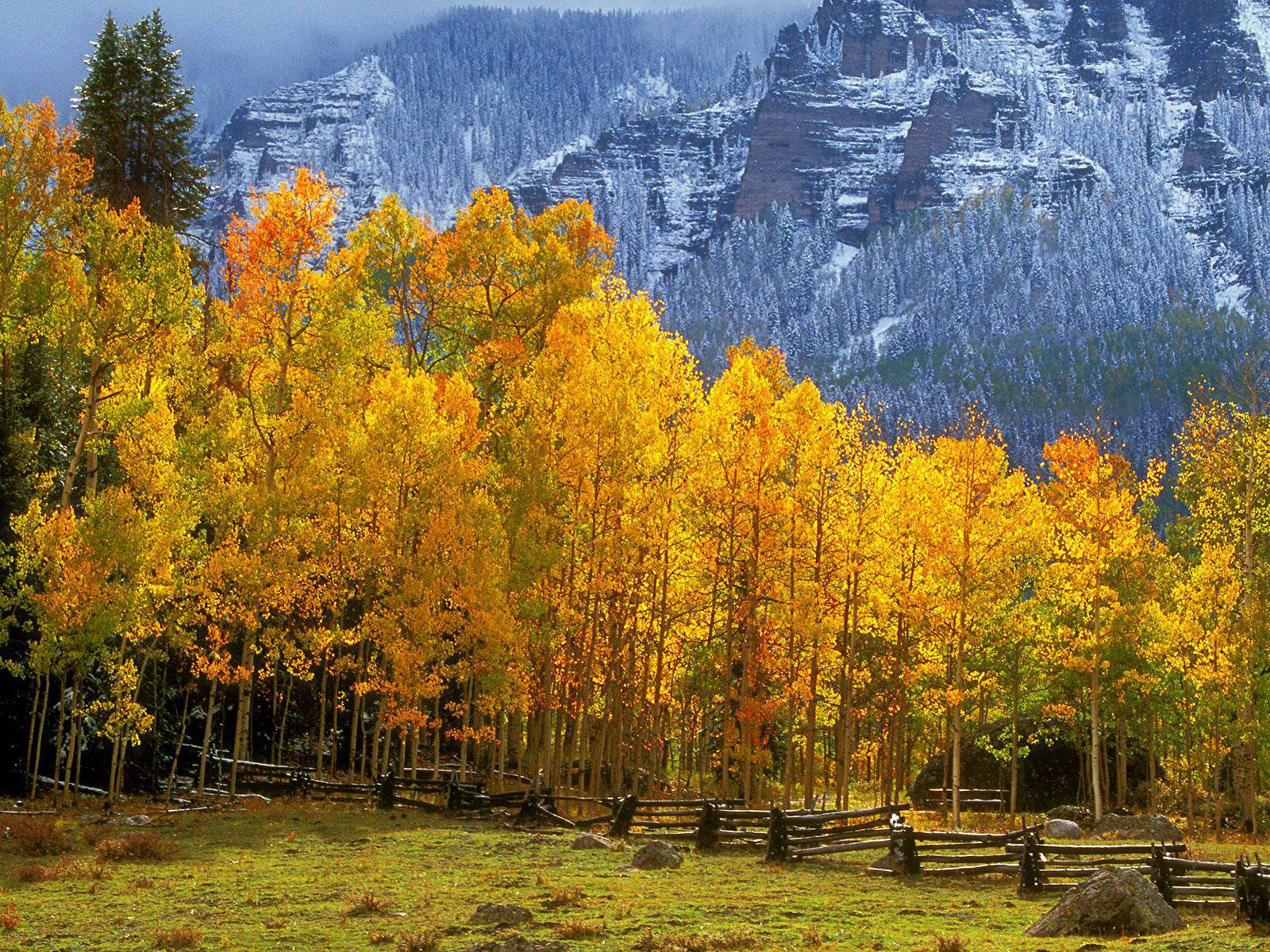 Solve Aspen Colorado jigsaw puzzle online with 130 pieces