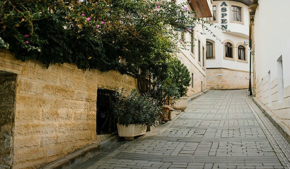 Solve What Can You Find Here? jigsaw puzzle online with 18 pieces