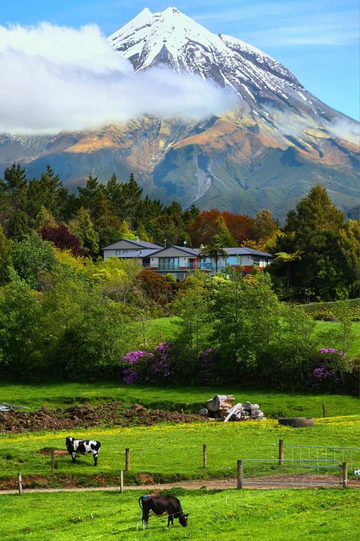 Solve Rural Taranaki jigsaw puzzle online with 35 pieces