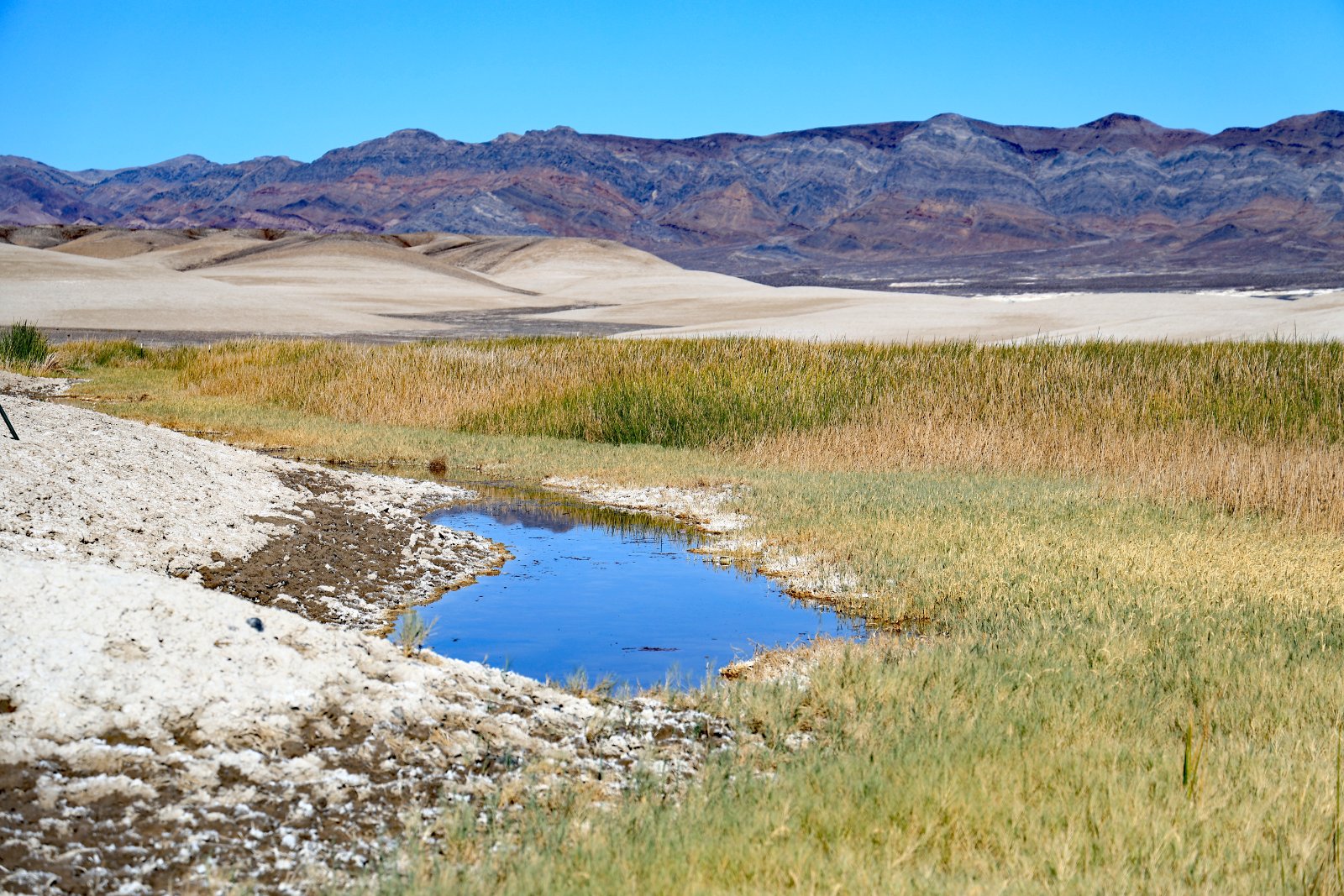 Solve Tecopa Hot Springs Grimshaw Lake jigsaw puzzle online with 40 pieces