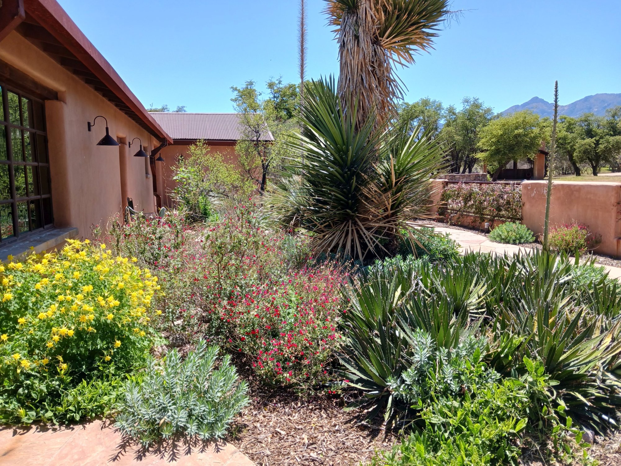 Solve beautiful shrubbery jigsaw puzzle online with 80 pieces