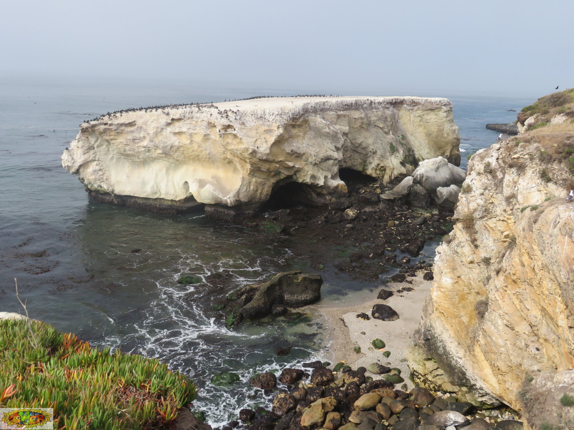 Solve Does Rock Float? (Asking for a friend...) jigsaw puzzle online ...