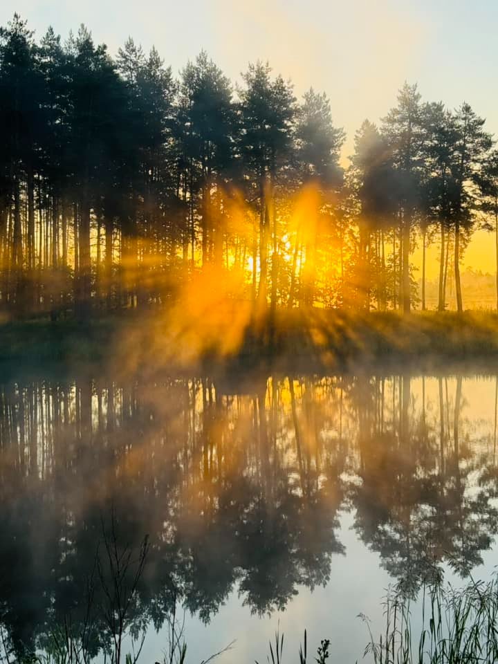 Solve spring morning on the western edge of the Great Northern Forest ...