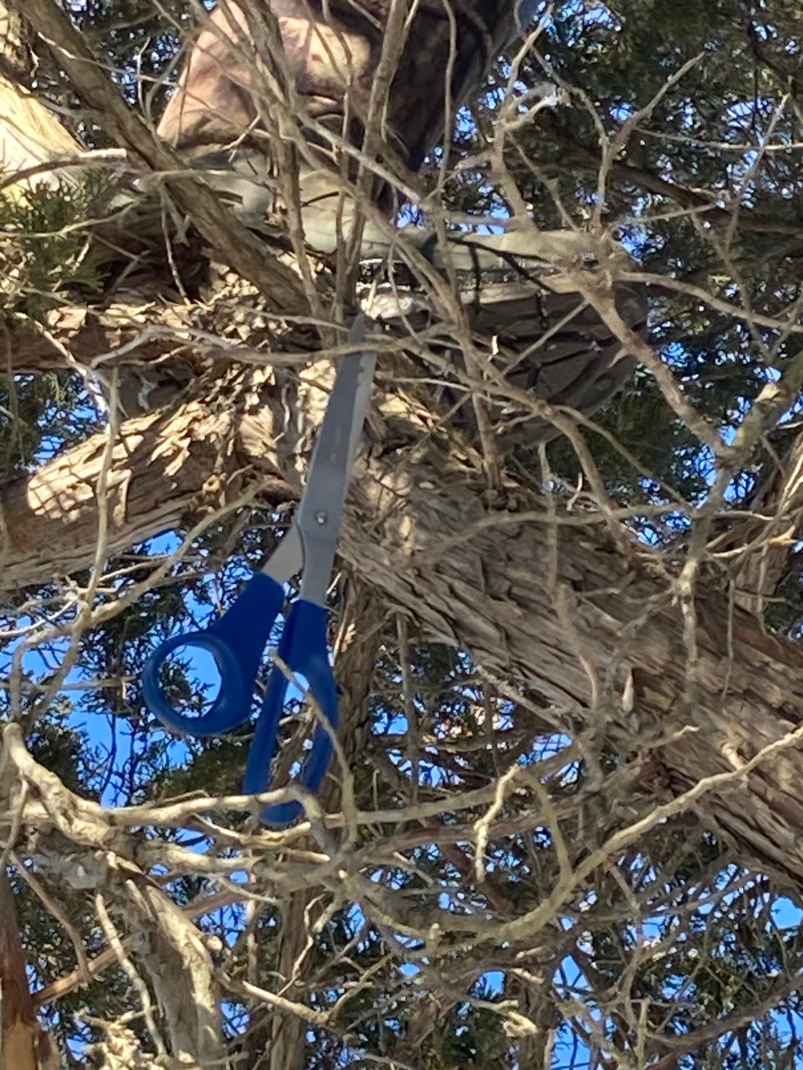 Solve scissors jigsaw puzzle online with 130 pieces