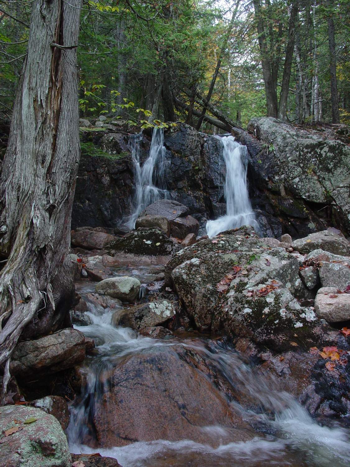 Solve A hidden waterfall (2 of 2) in Acadia National Park jigsaw puzzle ...
