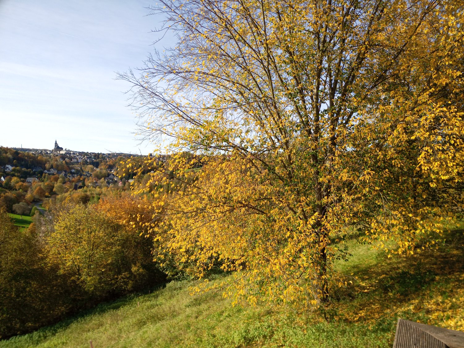 Solve Bad Schlema - Golden Autumn jigsaw puzzle online with 35 pieces