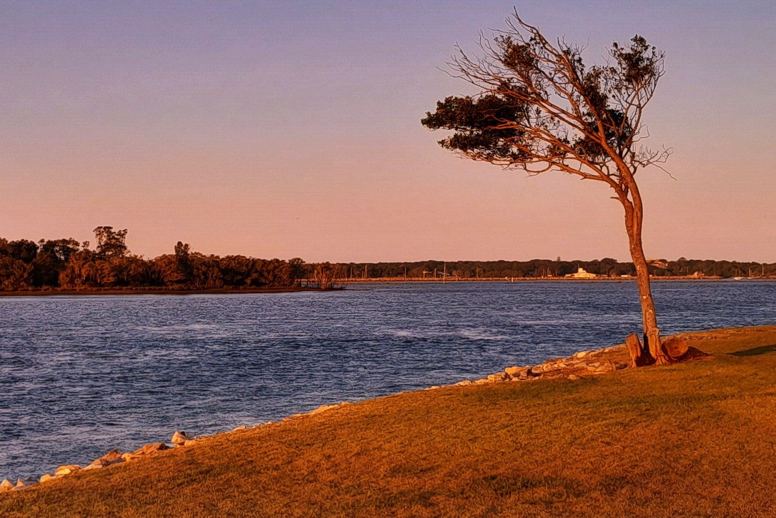 Solve Blowing in the wind jigsaw puzzle online with 77 pieces