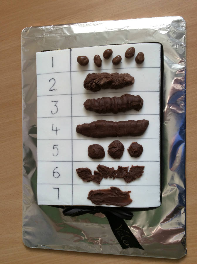 Solve Bristol Stool Chart cake jigsaw puzzle online with 63 pieces