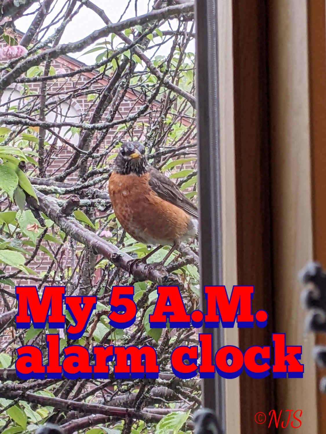 Solve Robin alarm clock jigsaw puzzle online with 48 pieces