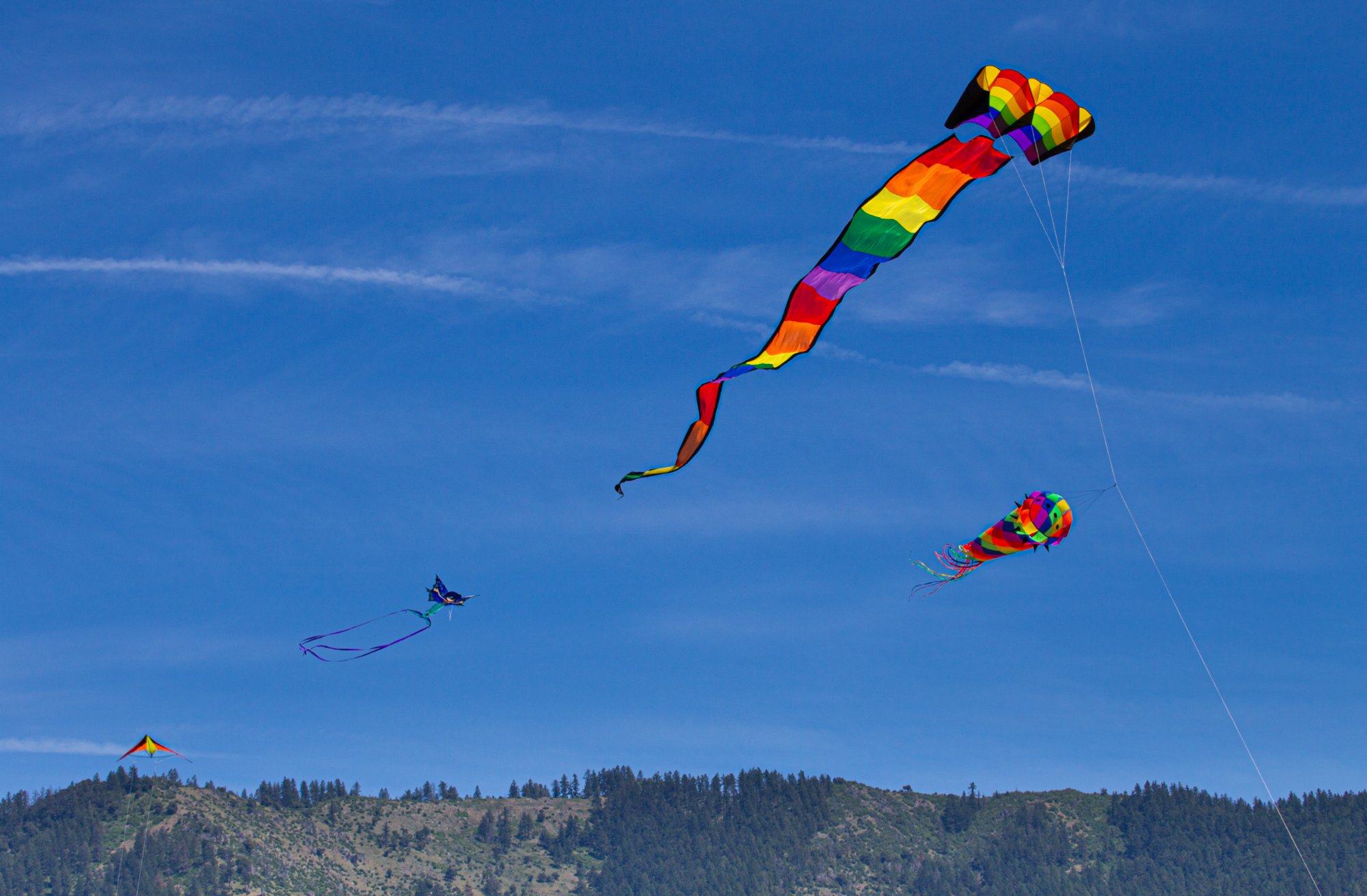 Solve "COME FLY WITH ME" jigsaw puzzle online with 77 pieces