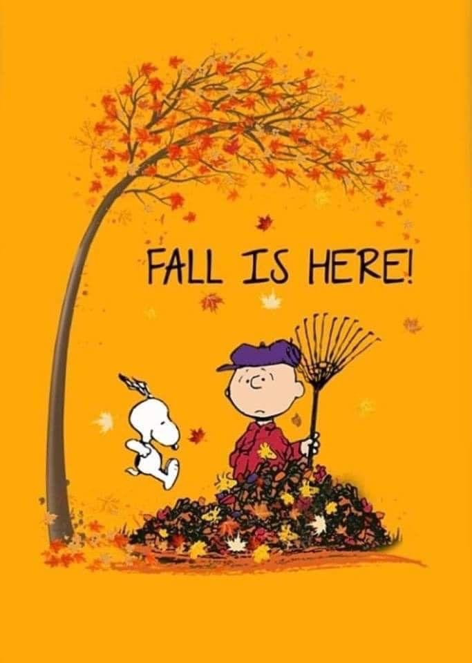 Solve And it looks like Fall today! jigsaw puzzle online with 12 pieces