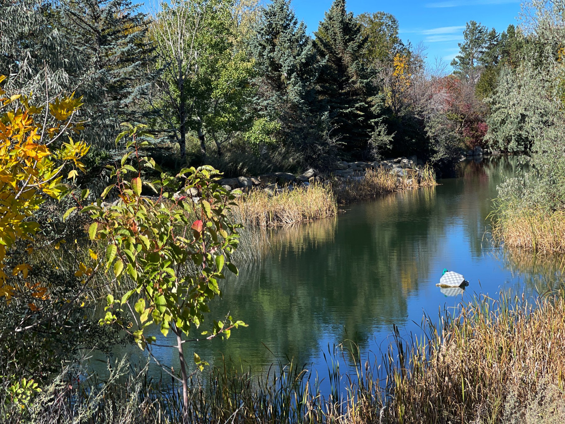 Jigsaw Puzzle | 63 pieces | Riverstone Pond 006 | Jigidi