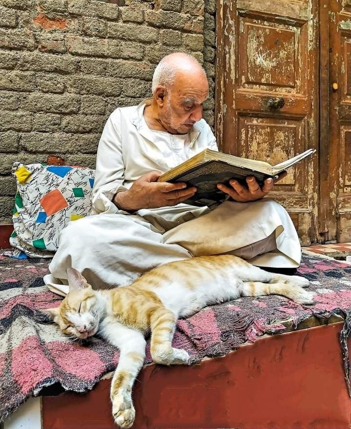 Solve Reading the Qur'an - perhaps aloud to the cat? jigsaw puzzle ...