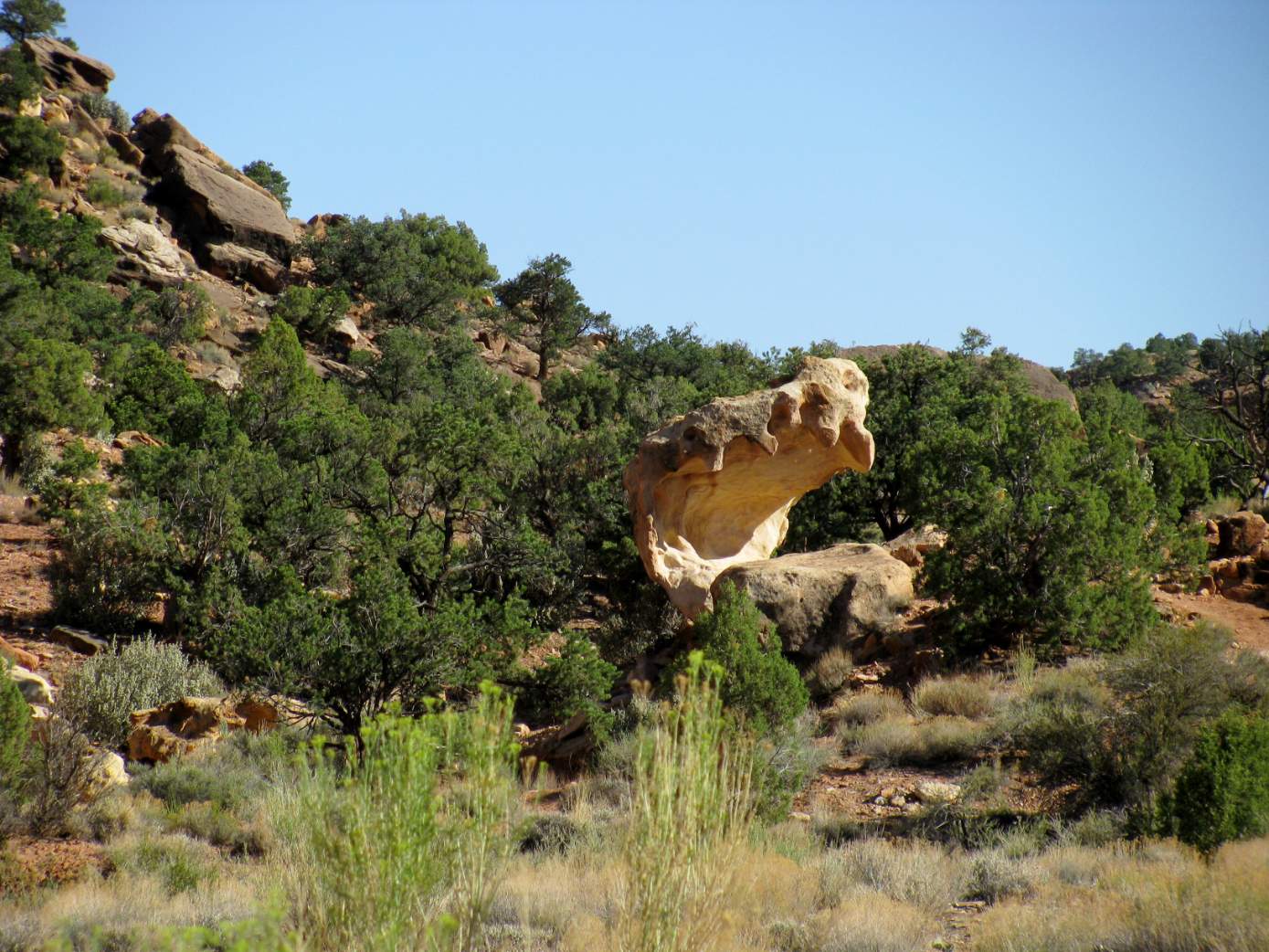 Solve The Jaws Of Capitol Reef (My Name) jigsaw puzzle online with 35 ...