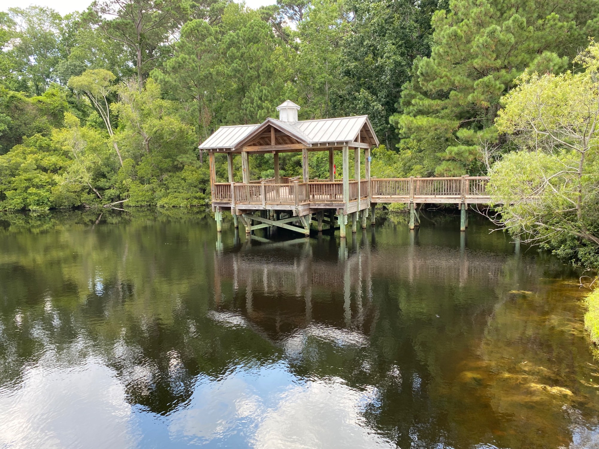 Solve Alligator Pond jigsaw puzzle online with 99 pieces