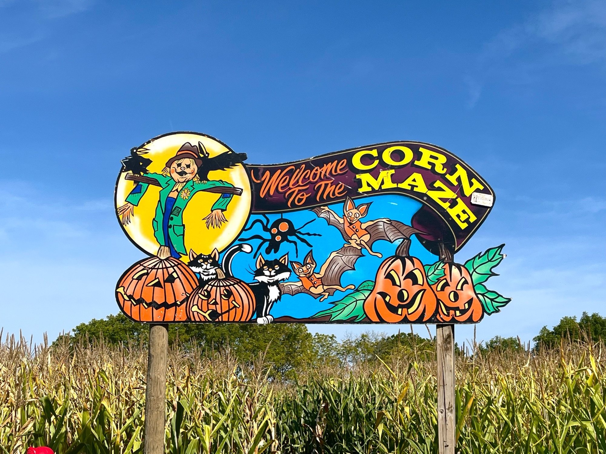 Solve halloween corn maze jigsaw puzzle online with 221 pieces