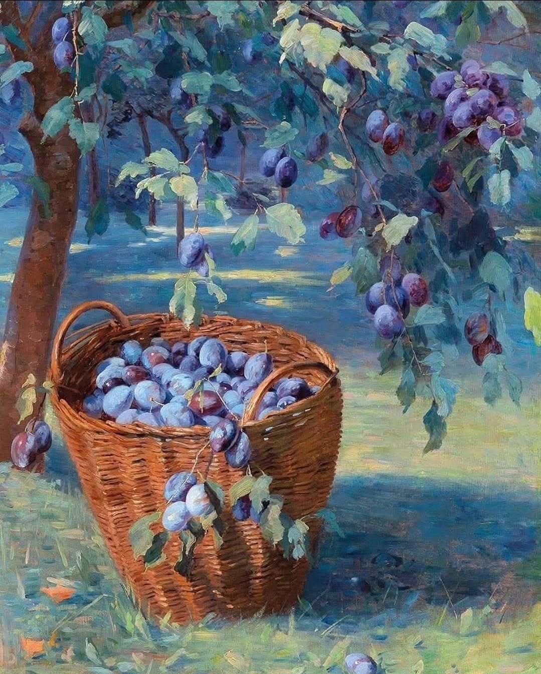 Solve plum harvest (resize 12 to 396) jigsaw puzzle online with 63 pieces