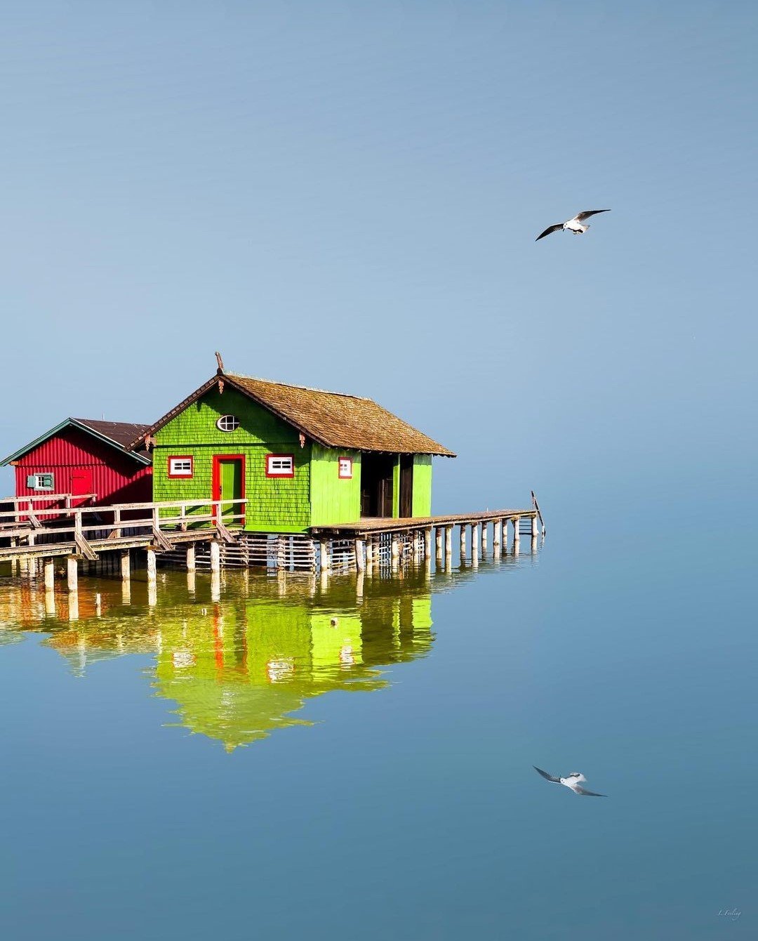 Solve Voisinage by Laetitia Freling Photographie jigsaw puzzle online ...