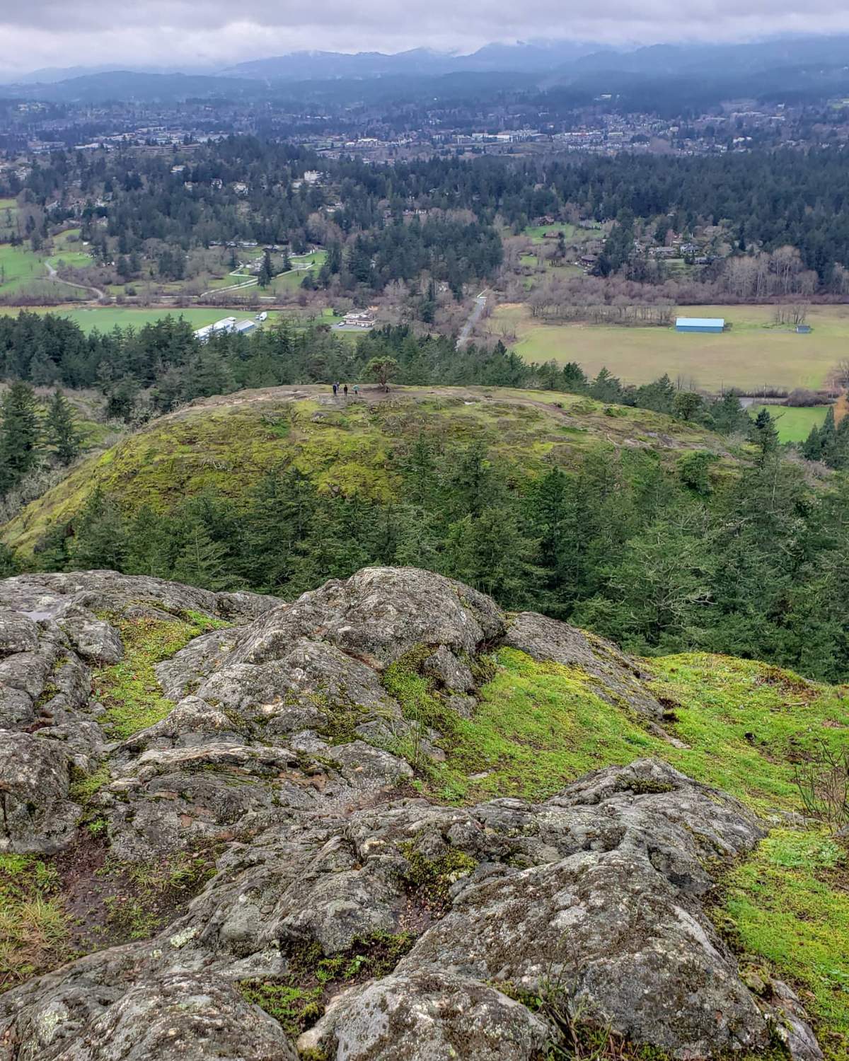 Solve E Victoria from Little Mt Doug (Linda jigsaw puzzle online with ...