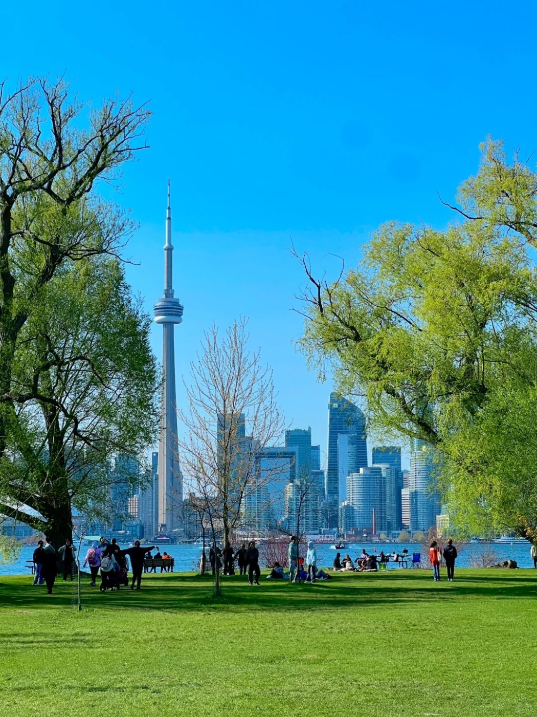 Solve Toronto - Copied from Internet jigsaw puzzle online with 35 pieces