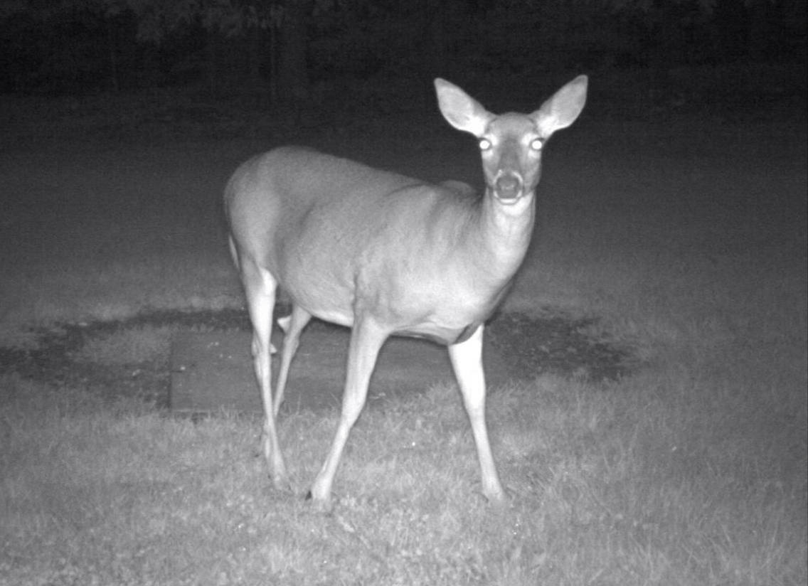 Solve Waiting jigsaw puzzle online with 35 pieces