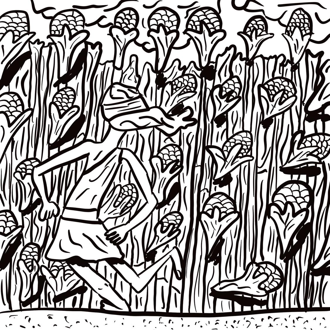 Jigsaw Puzzle | Corn Maze Competition | 49 pieces | Jigidi