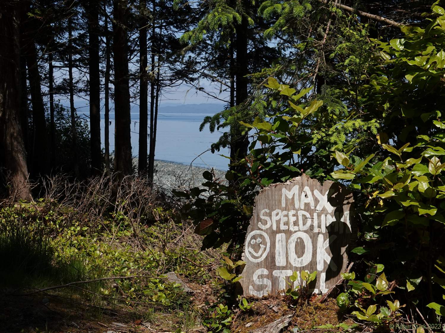 Solve 10K jigsaw puzzle online with 63 pieces