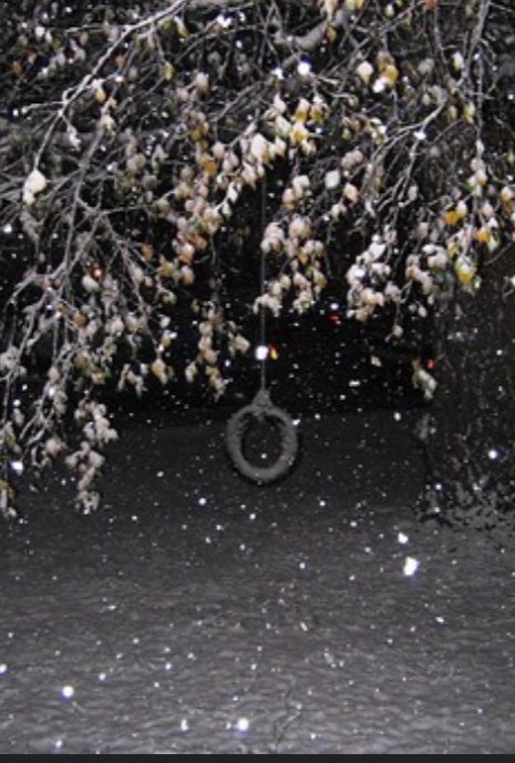 Solve Tire swing snow jigsaw puzzle online with 35 pieces