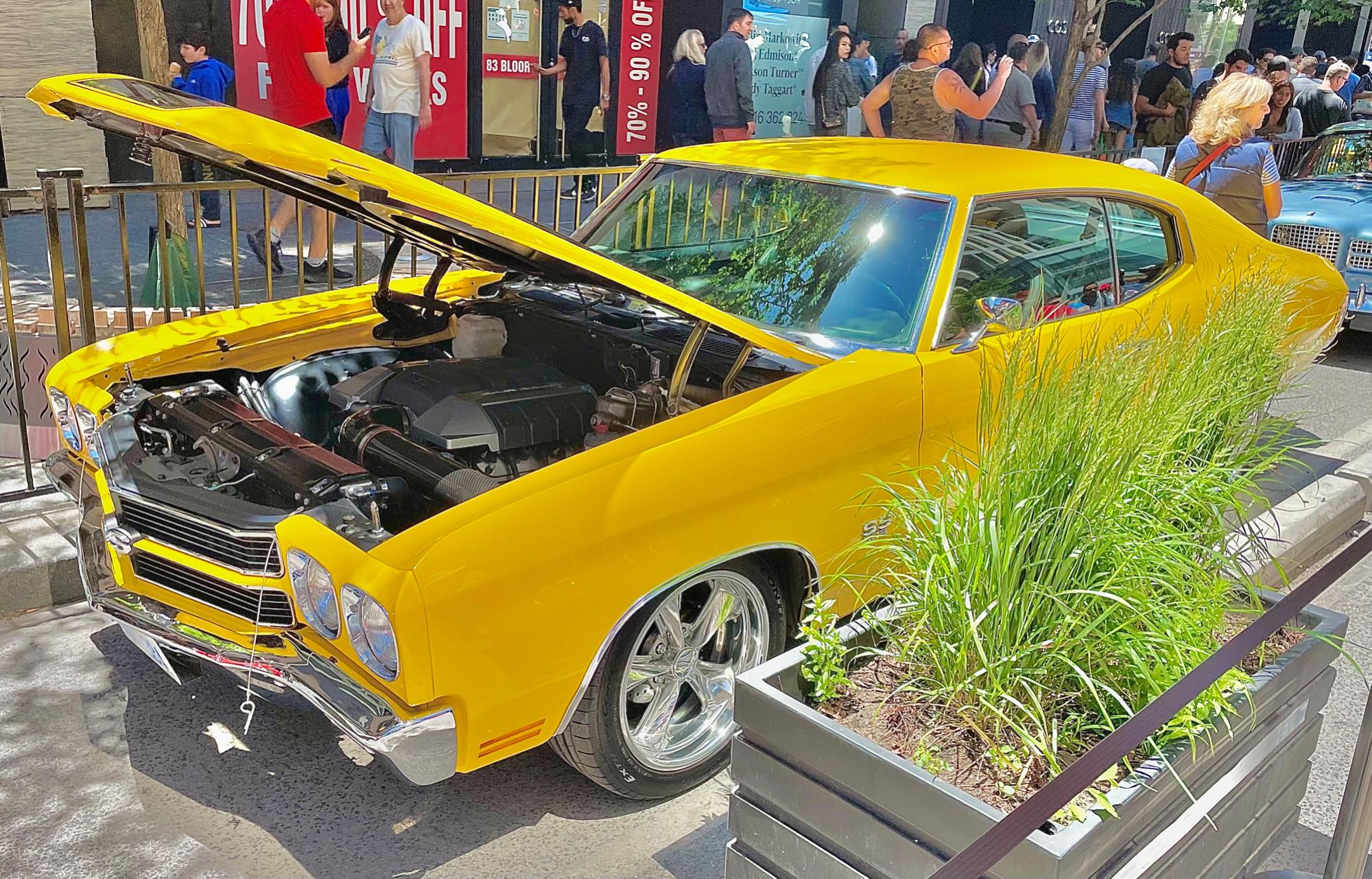 Solve Chevelle jigsaw puzzle online with 600 pieces