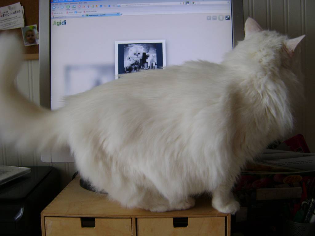 Solve Freya - Investigating. Just what is it that distracts my slave so ...